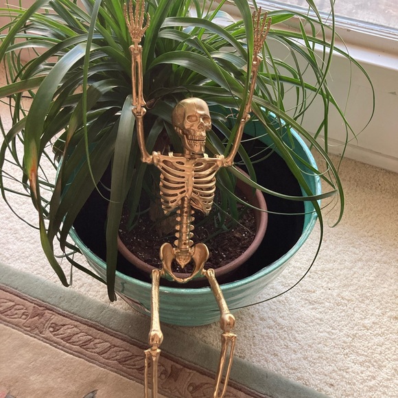 Accents | 24 Inch Tall Posable Gold Skeleton | Poshmark